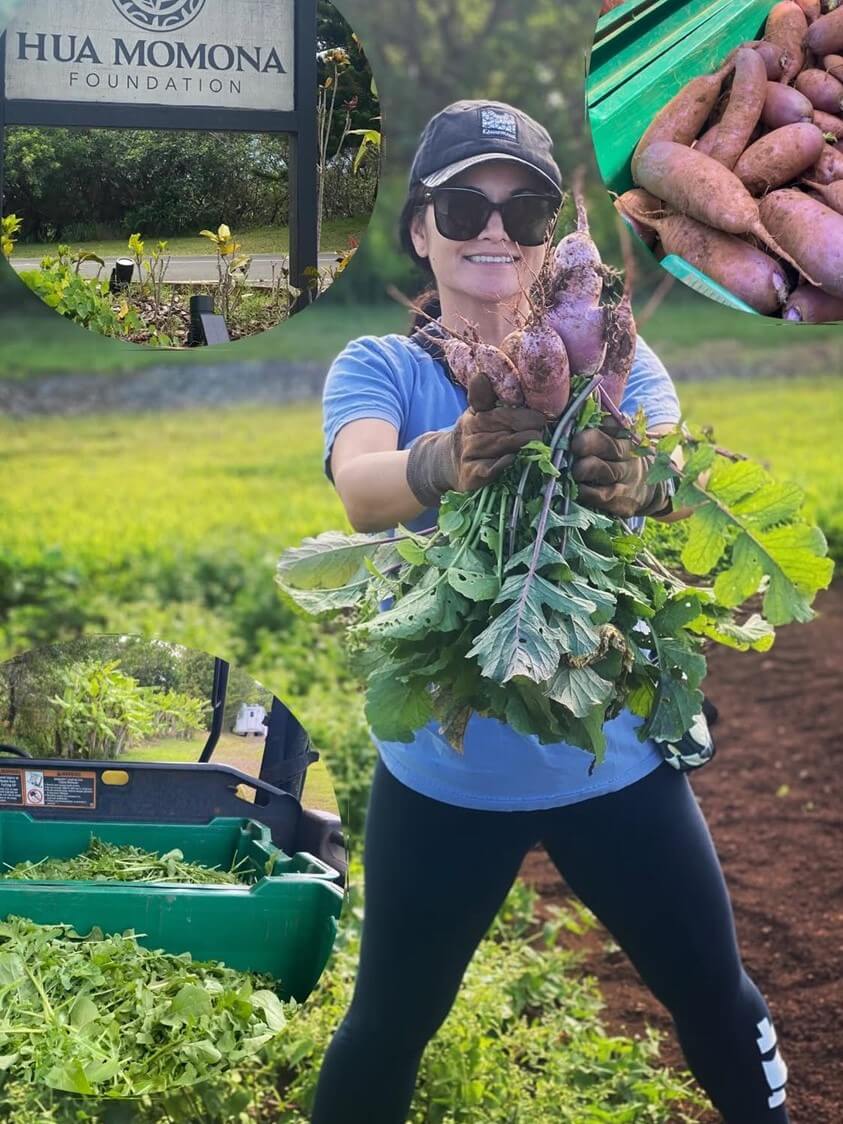 Harvesting Aloha Cohort I | Aloha Harvest