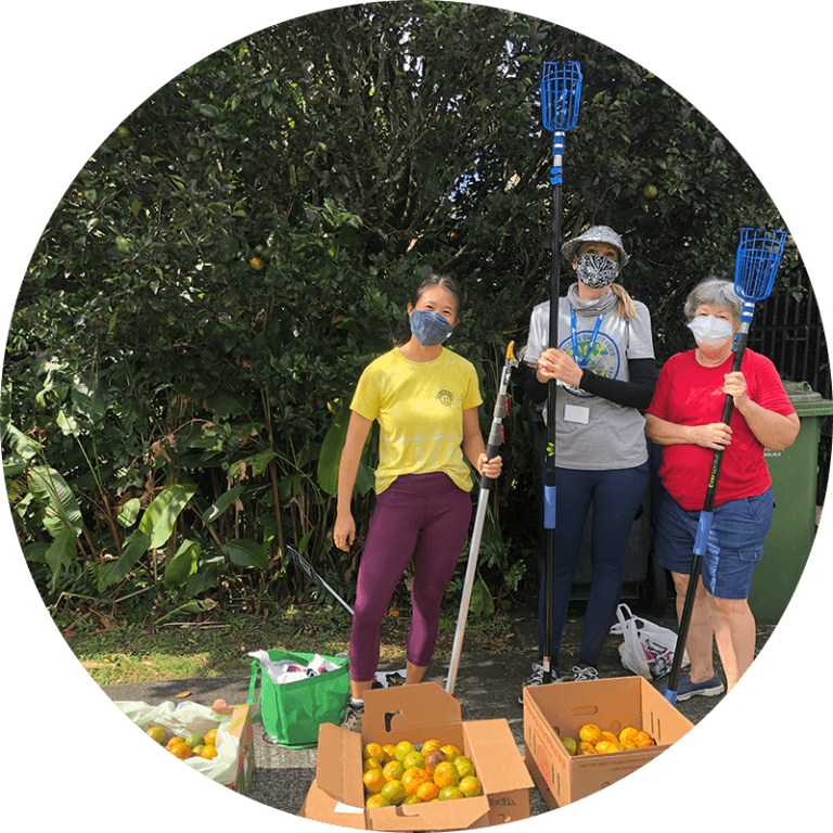 Community Harvest | Aloha Harvest